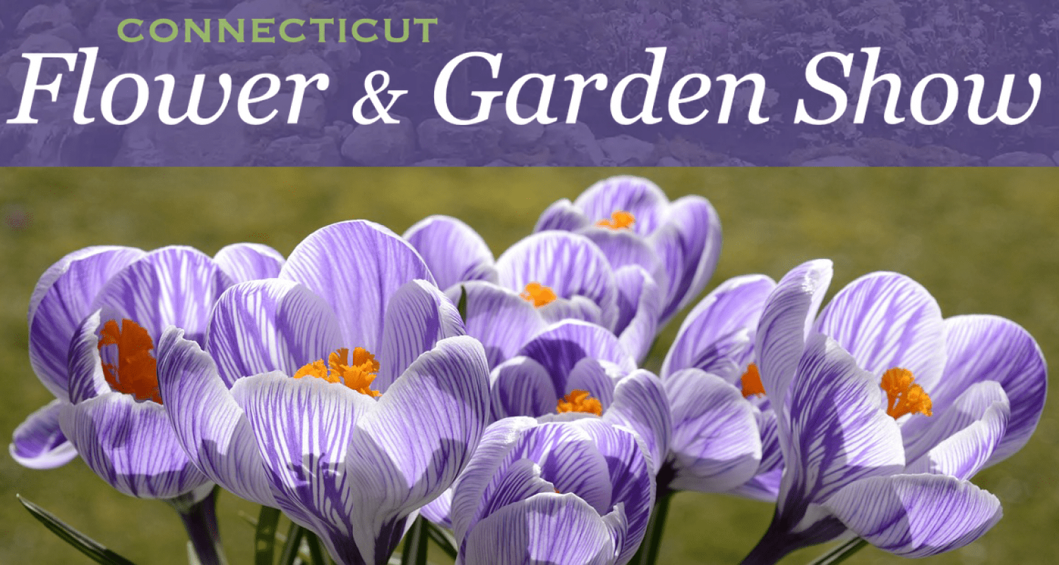 Home - Flower Power Farms